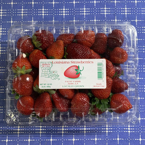 Laughing Buddha Nursery | Online Store | Metairie, LA, US