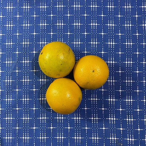 Laughing Buddha Nursery | Online Store