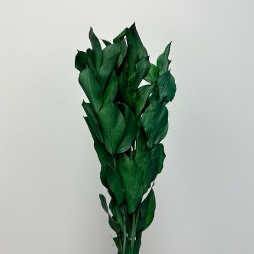 PickaFlor Floral Wholesaler | Welcome to our Online Store! | Winnipeg,...