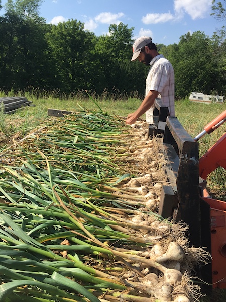 About Us | Fiddle Foot Farm