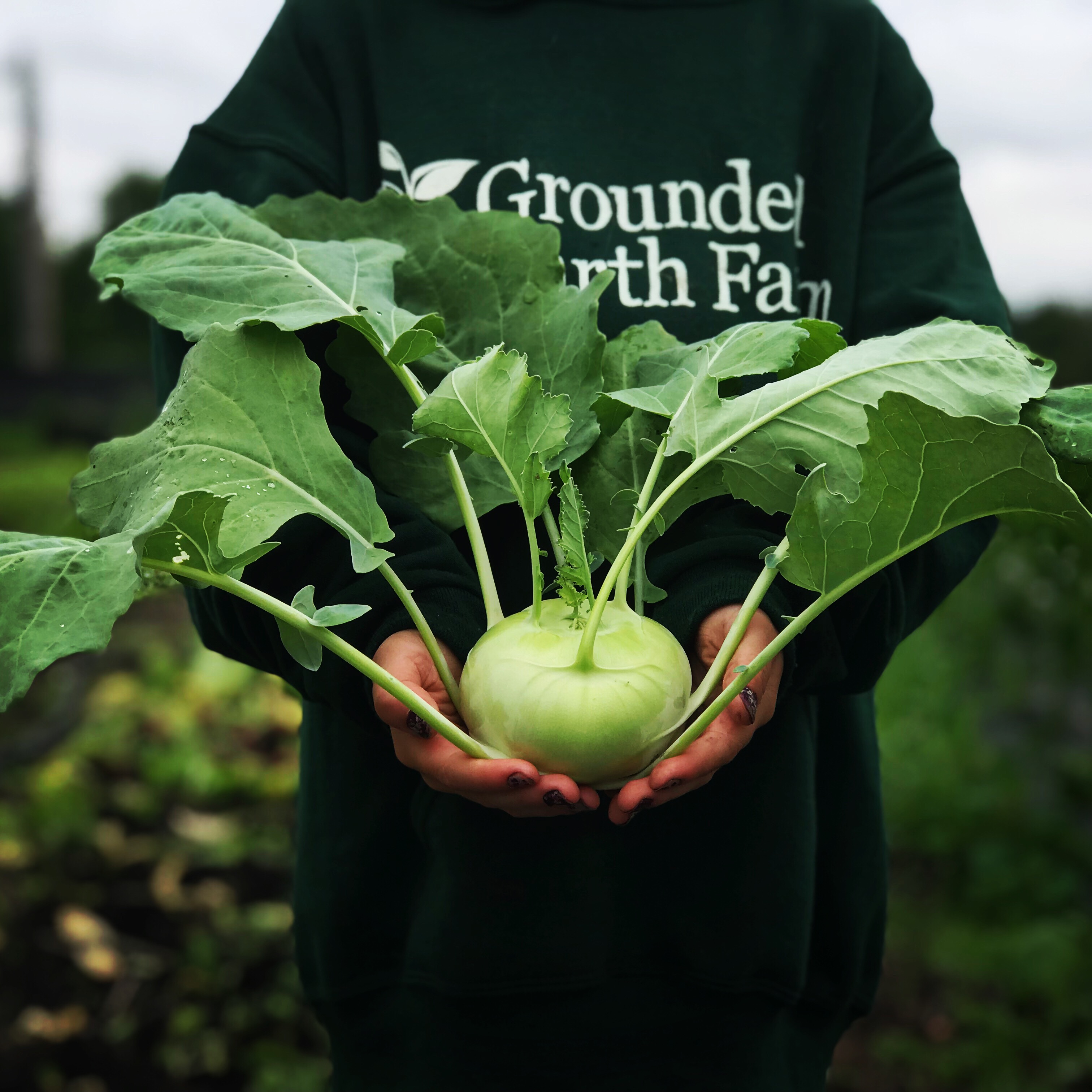 Grounded Earth Farm | 2023 CSA | Crown Point, IN, US