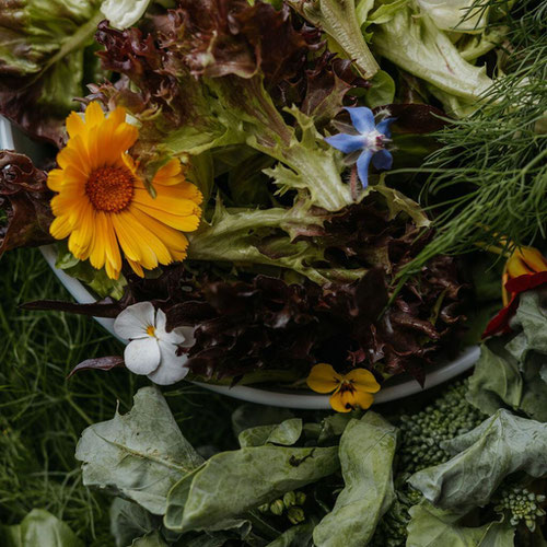 Firmly Rooted | Join over 200 local families who love eating well with...