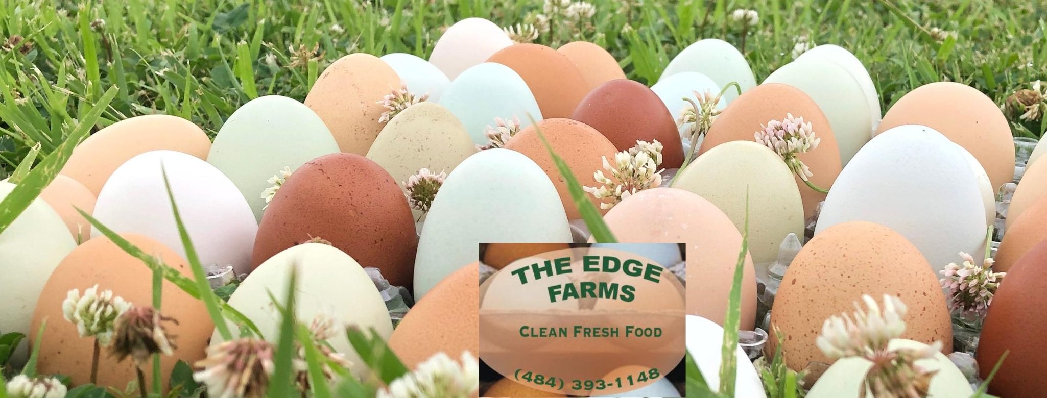 The Edge Farms | Retail | Phoenixville, PA, US