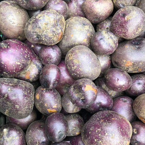 Food For Lane County Youth Farm | My Products