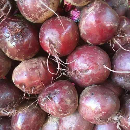 FOOD For Lane County Youth Farm | My Products