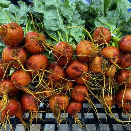 Good Stead Farm's Online Farm Store | Welcome to Good Stead Farm's Onl...