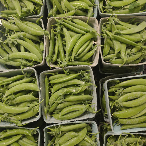 Good Stead Farm's Online Farm Store | Welcome to Good Stead Farm's Onl...