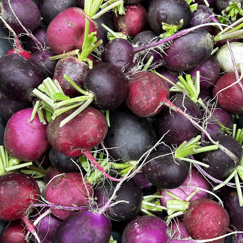 Good Stead Farm's Online Farm Store | Welcome to Good Stead Farm's Onl...