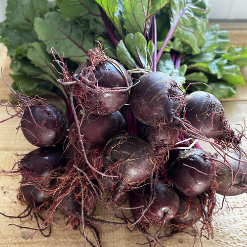 Good Stead Farm's Online Farm Store | Welcome to Good Stead Farm's Onl...