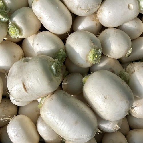 Good Stead Farm's Online Farm Store | Welcome to Good Stead Farm's Onl...