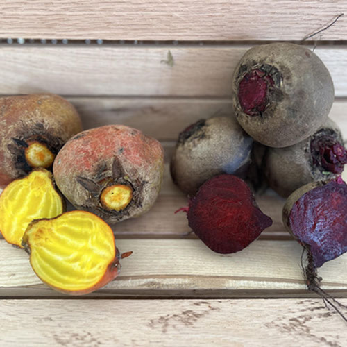 Good Stead Farm's Online Farm Store | Welcome to Good Stead Farm's Onl...
