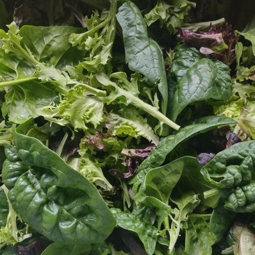 Good Stead Farm's Online Farm Store | Welcome to Good Stead Farm's Onl...