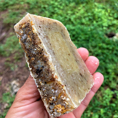 Urban Oasis Project | Urban Oasis Project | Miami, FL, US