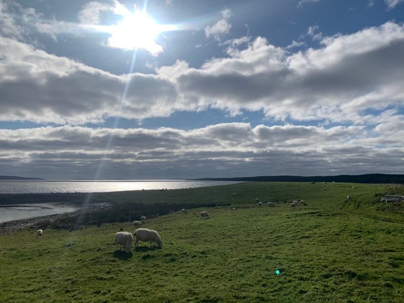 About Us | Haricot Farms | Harricott, NL, CA