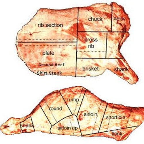 Haricot Farms | My Products | Harricott, NL, CA