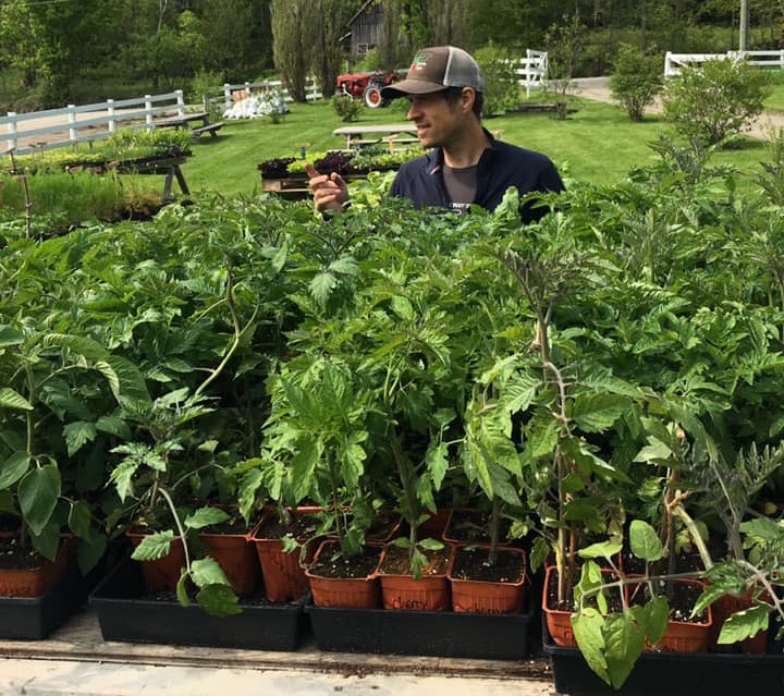 About Us | Juniper Farm Seedlings / Semis de la Ferme Juniper | Wakefi...