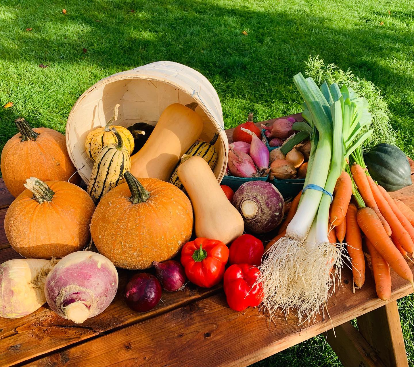 Juniper Farm/Ferme Juniper | Welcome to Juniper Farm's Wholesale Store...