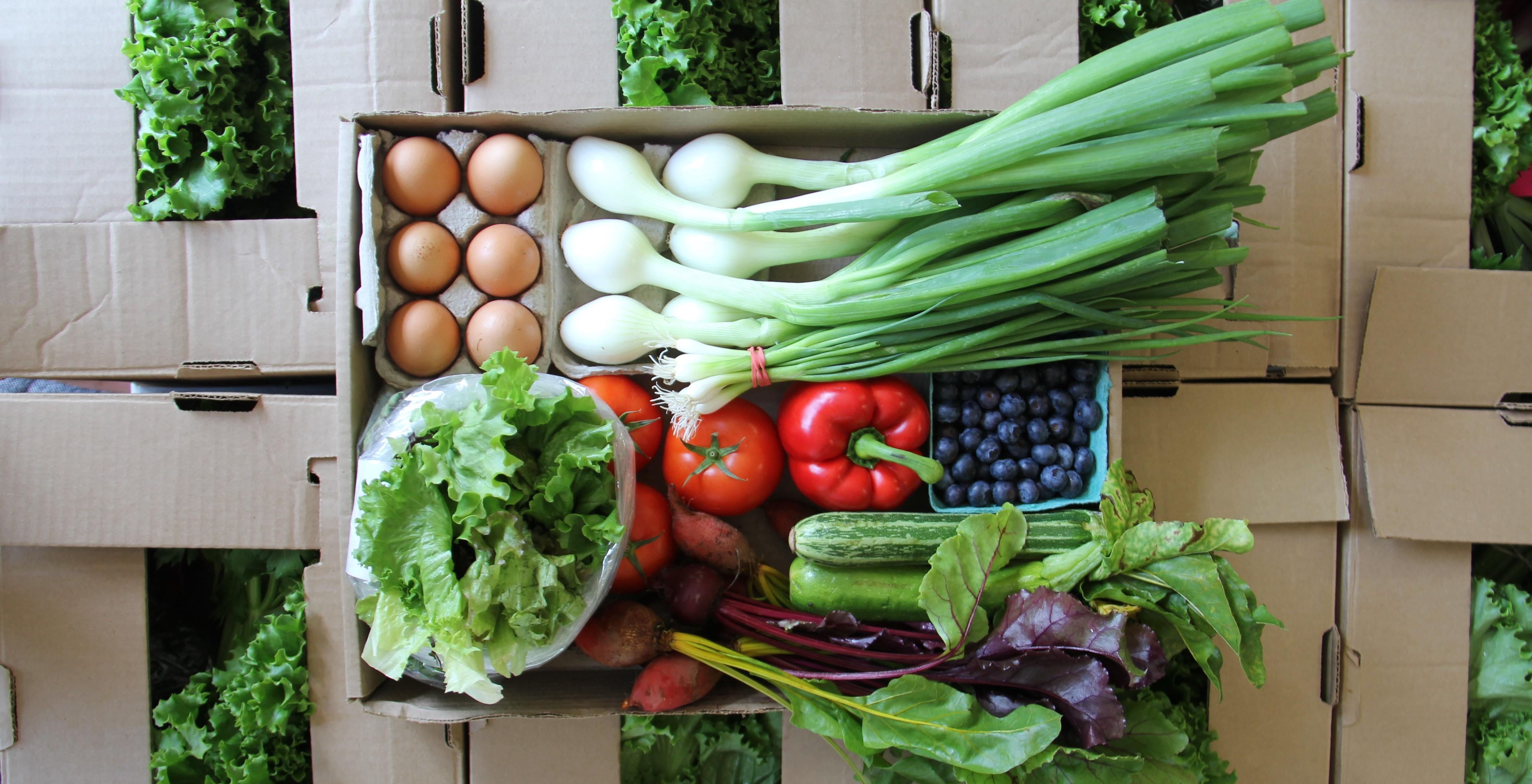 LUSH Valley Food Action Society | Welcome to LUSH Valley's Online Stor...