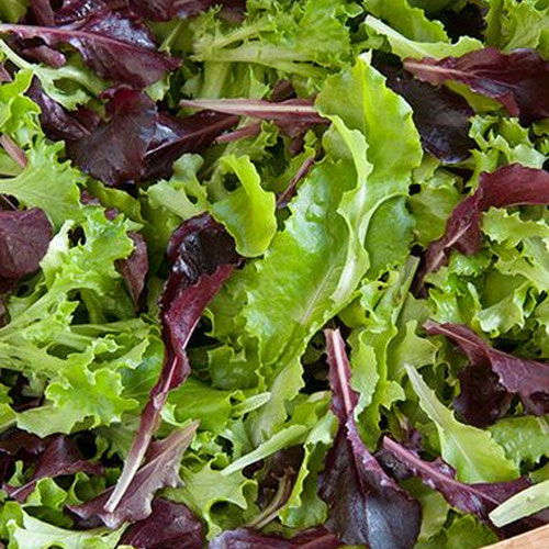 Lettuce, Salad Mix, Just Farmin' | Just Farmin' Produce | Hamilton, OH...