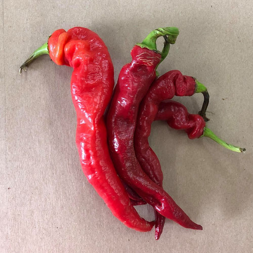 Strawberry Hill Market | Our products | Pembroke, NB, CA