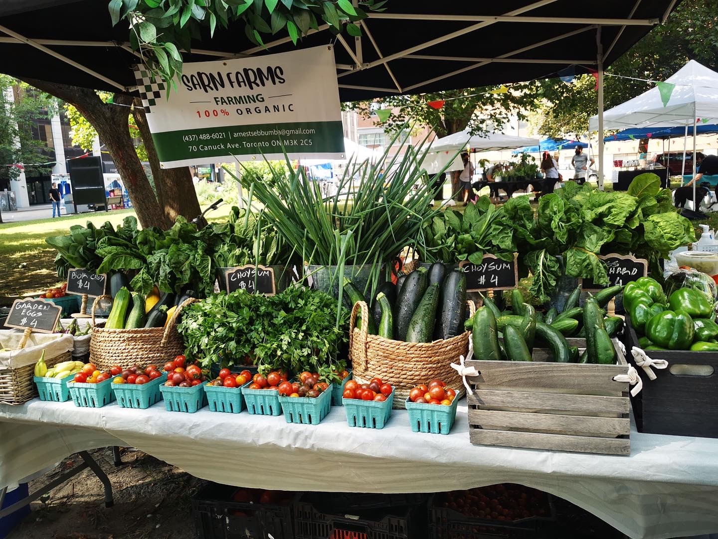 SARN Farms | My Products | Toronto, ON, CA