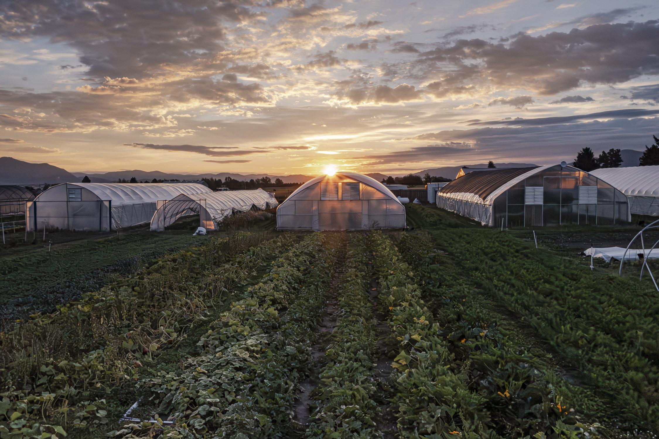 About Us | Chance Farm | Bozeman, MT, US