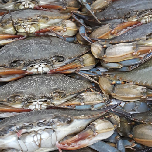 FISH - 🦀 SOFT SHELLED CRAB🦀 FROZEN (Boston Fresh Seafood) | Pleasant V...