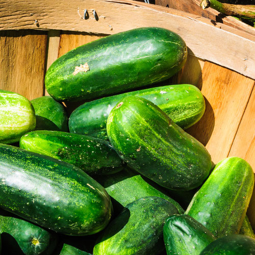 Charles Family Farm | Welcome to the Charles Family Farm Online Store...