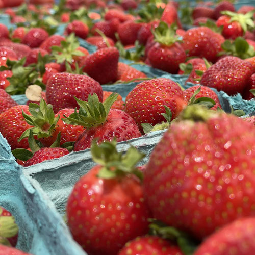Charles Family Farm | Welcome to the Charles Family Farm Online Store...