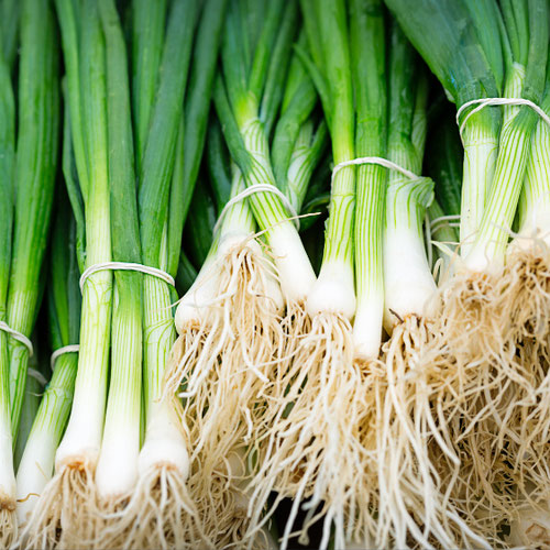 Charles Family Farm | Welcome to the Charles Family Farm Online Store...