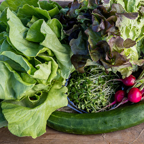 Blackberry Pond Farm | WELCOME TO THE CSA MEMBERS ONLY STORE | Martin,...