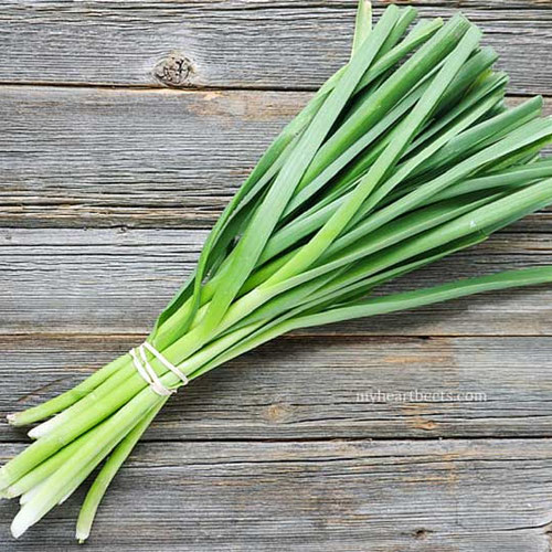 Blackberry Pond Farm | WELCOME TO THE CSA MEMBERS ONLY STORE | Martin,...