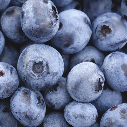 Blackberry Pond Farm | WELCOME TO THE CSA MEMBERS ONLY STORE | Martin,...