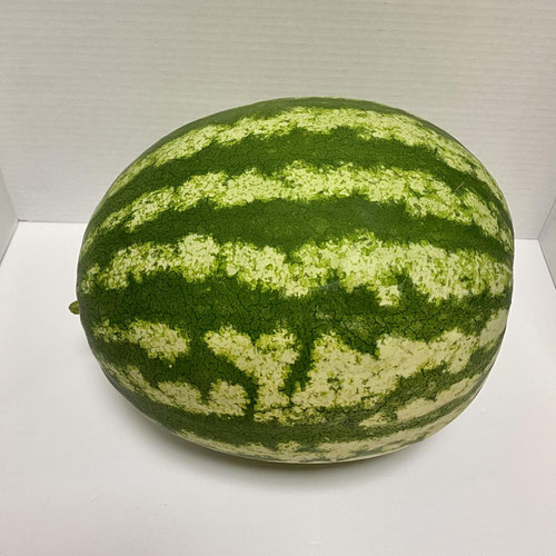 Blackberry Pond Farm | WELCOME TO THE CSA MEMBERS ONLY STORE | Martin,...