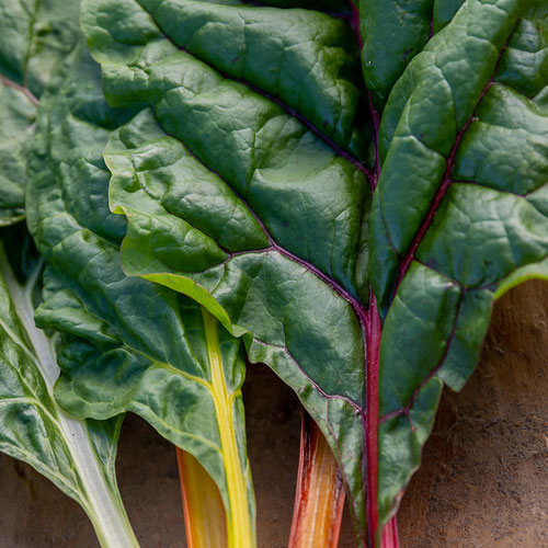 Blackberry Pond Farm | WELCOME TO THE CSA MEMBERS ONLY STORE | Martin,...