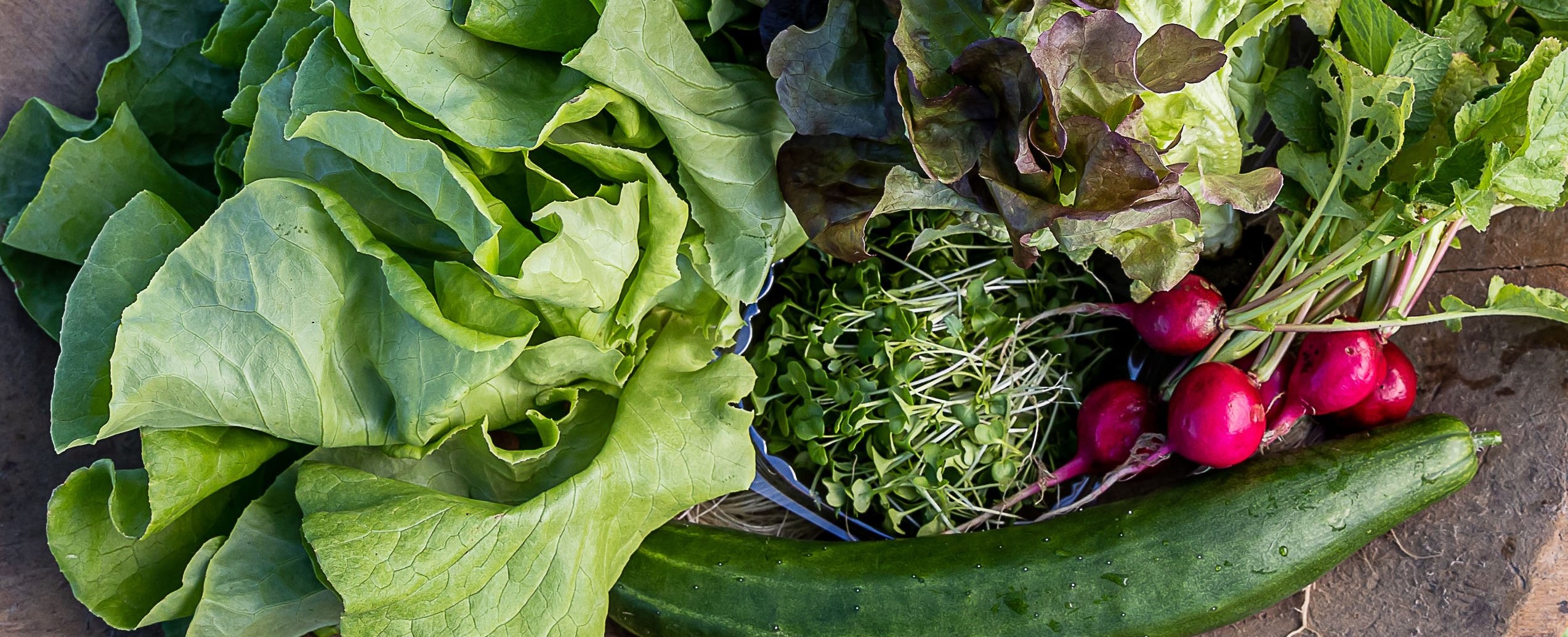 Blackberry Pond Farm | WELCOME TO THE CSA MEMBERS ONLY STORE | Martin,...