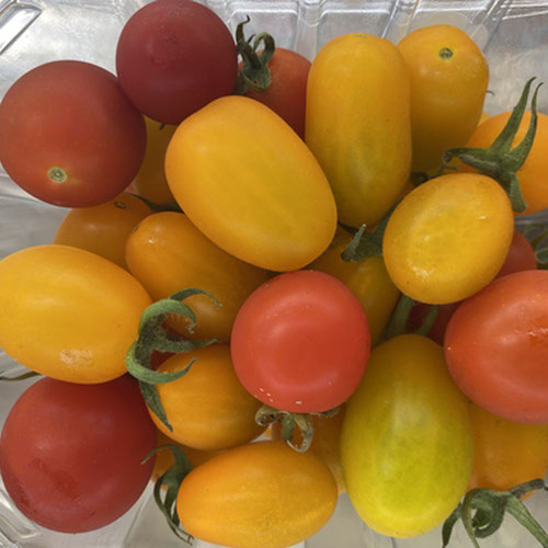 Blackberry Pond Farm | WELCOME TO THE CSA MEMBERS ONLY STORE | Martin,...