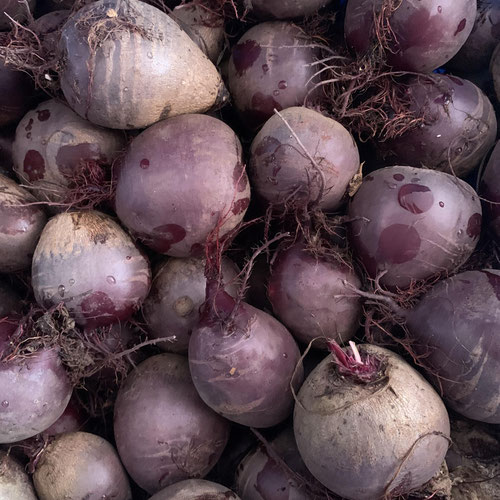 Abraham's Table Farm | Welcome to our online farm store! | Sandstone,...