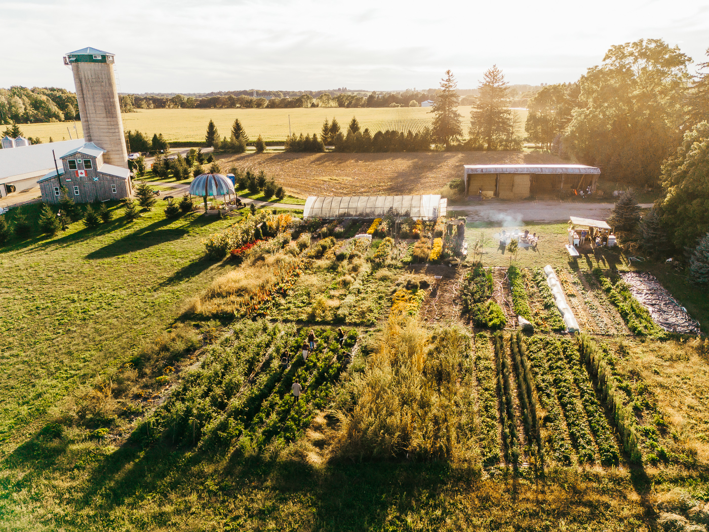 About Us | Rising Roots Farm | Embro, ON, CA