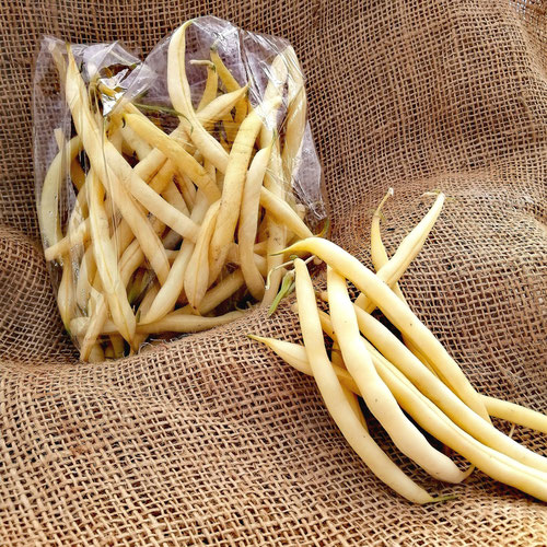 Wild Flight Farm | Welcome to our Wild Flight Farm online store! | Mar...