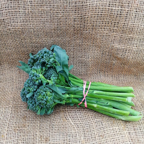 Wild Flight Farm | Welcome to our Wild Flight Farm online store! | Mar...