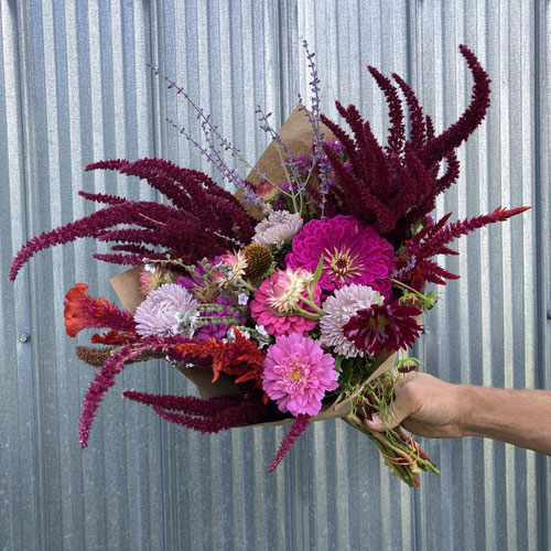 Wild Flight Farm | Welcome to our Wild Flight Farm online store! | Mar...