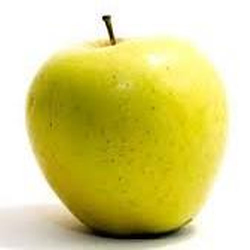 Wild Flight Farm | Welcome to our Wild Flight Farm online store! | Mar...