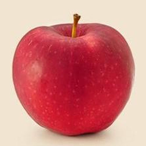 Wild Flight Farm | Welcome to our Wild Flight Farm online store! | Mar...