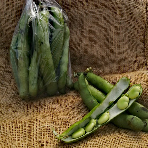 Wild Flight Farm | Welcome to our Wild Flight Farm online store! | Mar...