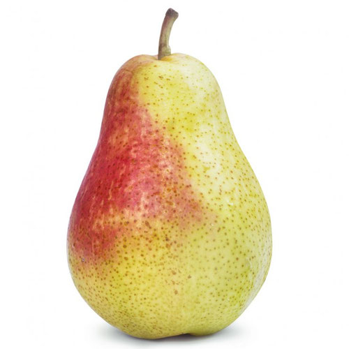 Wild Flight Farm | Welcome to our Wild Flight Farm online store! | Mar...