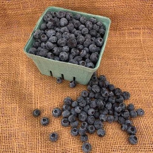 Wild Flight Farm | Welcome to our Wild Flight Farm online store! | Mar...