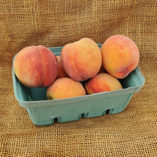 Wild Flight Farm | Welcome to our Wild Flight Farm online store! | Mar...