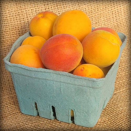 Wild Flight Farm | Welcome to our Wild Flight Farm online store! | Mar...