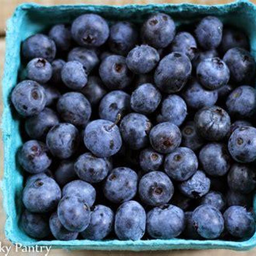 Wild Flight Farm | Welcome to our Wild Flight Farm online store! | Mar...